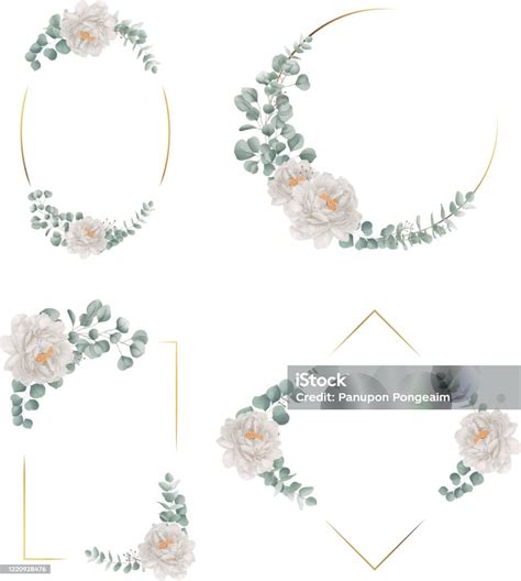 웨딩 플라워 포토 프레임 세트 흰 모란과 유칼립투스 잎으로 구성 황금 꽃 프레임입니다 결혼식에 대한 스톡 벡터 아트 및 기타 이미지 결혼식 낙서 드로잉 녹색 Istock