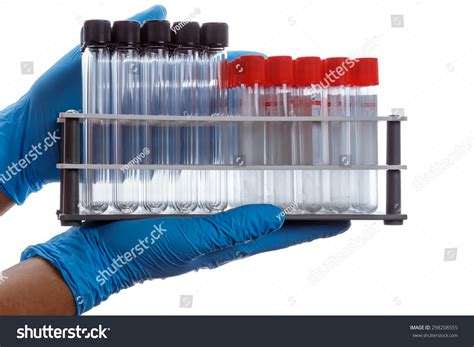 Hands Empty Test Tubes Tubes Clot Foto Stok 298208555 Shutterstock