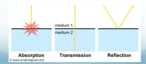 Principles Of Reflection Transmission And Absorption Flashcards Quizlet