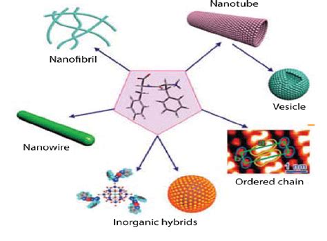 Figure 1 From Self Assembly Peptides A Review Semantic Scholar