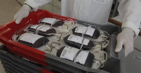 Hemoba Coleta Mais De Mil Bolsas De Sangue Durante O Carnaval Falando