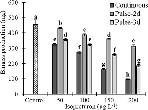 Cumulative Biomass Production At The End Of The Experiment Sum Of