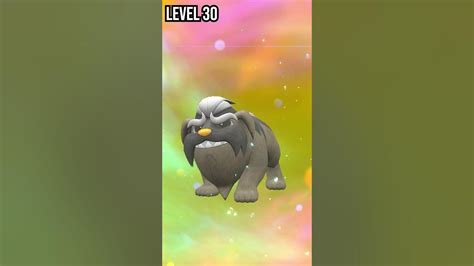 Maschiff Mabosstiff Evolution In Pokemon Scarlet And Violet Pokemon Evolution Shorts Youtube