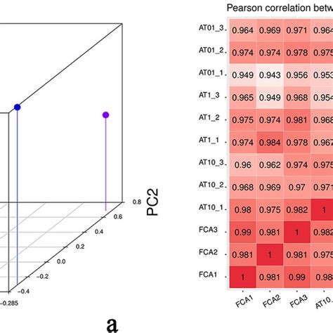 Three Dimensional Image Of Pca A And Correlation Cluster Diagram B