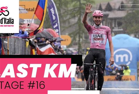 Giulio Pellizzari Un Pioniere Della Biomedicina Artein Notizie