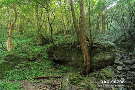 Dao Flickr