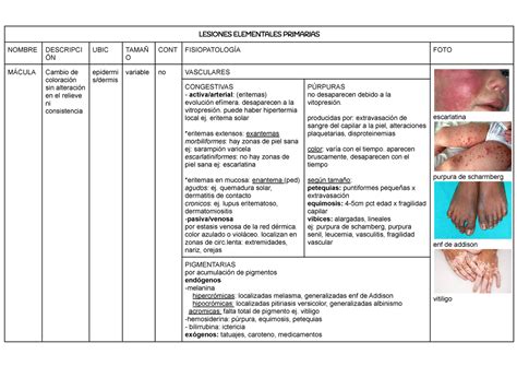 Lesiones Elementales Primarias Lesiones Elementales Primarias Nombre