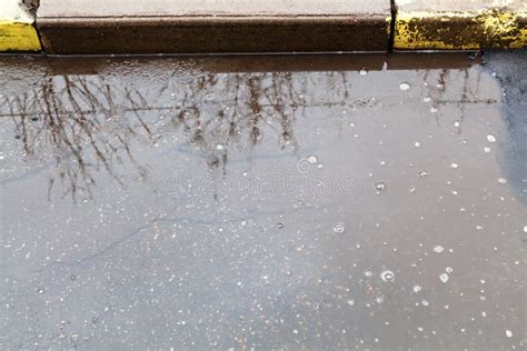 Surface Of Puddle On Urban Street In Rain Stock Image Image Of Puddle