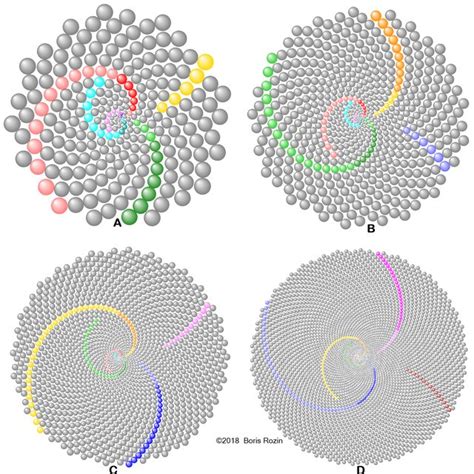 2 Families Of Threads At The Fibonacci Phyllotaxis Lattice Download
