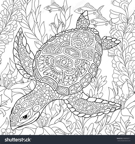 2 523 Adult Colouring Turtle Images Stock Photos Vectors Shutterstock