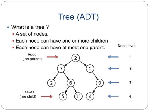 Tree Data Structure Pptx