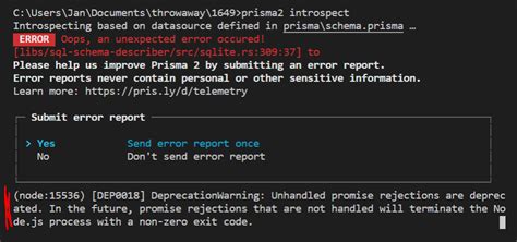Introspect Unhandled Promise And Duplicated Output On Error · Issue 1923 · Prismaprisma · Github
