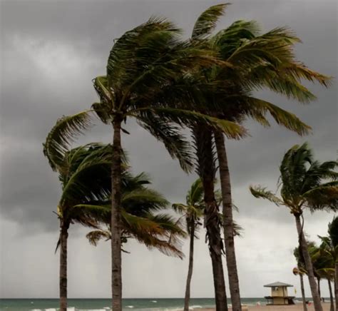 Vento Nordeste fenômeno pode provocar rajadas de 50 km h