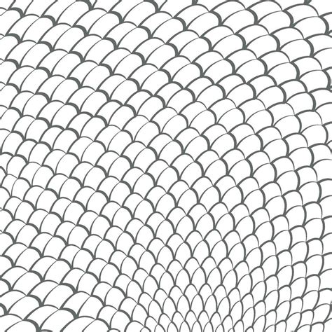 Snake Scales Drawing