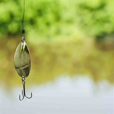 Mastering Spoon Lure Fishing Techniques Tips And Guide
