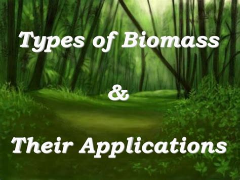 Biomass Energy Availability Wood To Enery Pdf Chemistry Science
