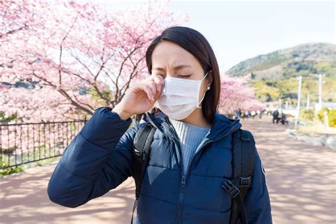 ¿cómo Combatir La Alergia Estacional