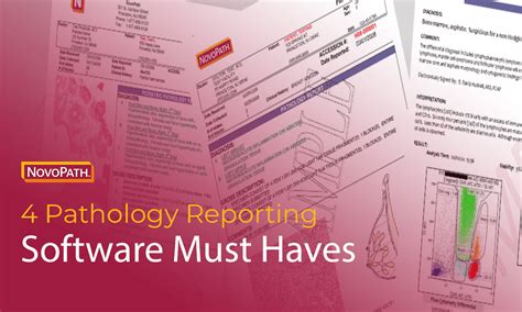 Four Pathology Reporting Software Must Haves Novopath