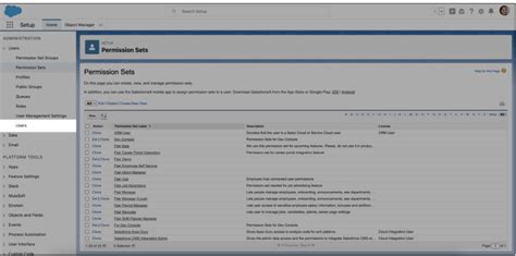 enabling developer console using permission sets for non admin users