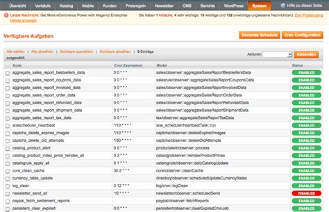 Magento Doithisself Cronjobs Einrichten Und Laufen Lassen Magento