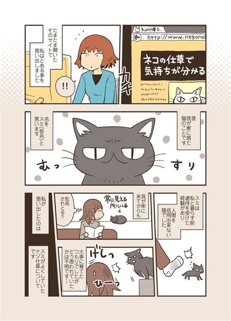 まばたきをよくしていた猫 その理由を知った飼い主は grape グレイプ