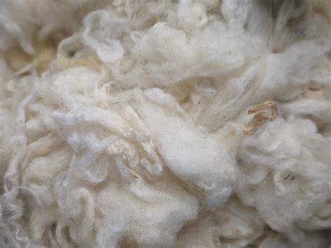 Thrumming Can I Use Small Lengths Of Raw Uncarded Wool Instead Of