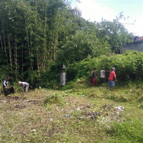 Program Padat Karya Tunai Desa PKTD Desa Kayubihi Desa Kayubihi