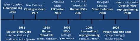 Stem Cell Research Creative Bioarray Creative Bioarray