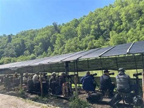 抚松县松江河镇：文化赋能乡村振兴 珍稀鸟类绘就生态名片施工中华游客