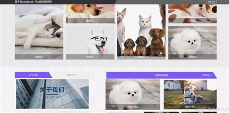 基于django vue宠物系统【开题报告 程序 论文】 计算机毕设 宠物系统设计 csdn博客