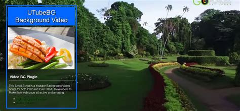 Utubebg Youtube Background Video Php Script By Nelliwinne Codester