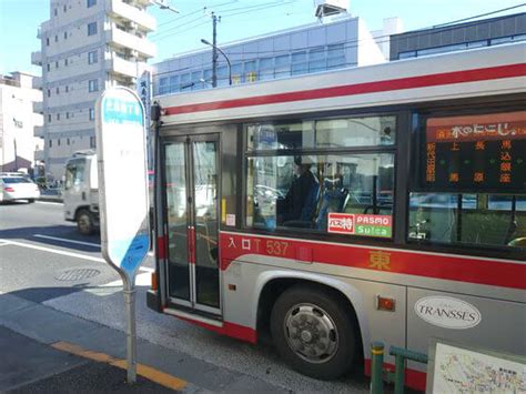 羽根木公園のアクセス方法や駐車場は？｜東京都世田谷区代田 歩いてみたブログ