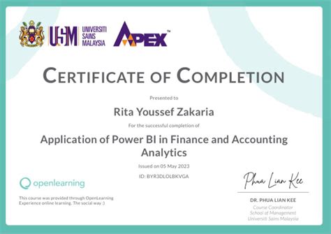 Rita Youssef On Linkedin Powerbi Analytics