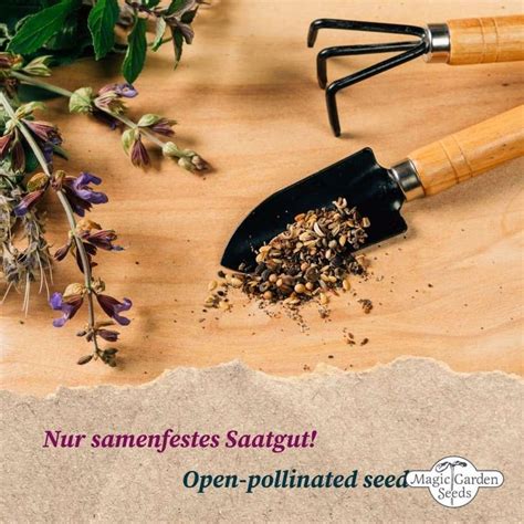 Magic Garden Seeds Bio Stare Historyczne Odmiany Warzyw Zestaw Nasion