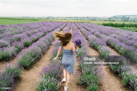 보라색 라벤더 밭에서 긴 머리를 점프하고 날아다니는 드레스를 입은 아름다운 소녀 여자는 일몰에 라벤더 밭을 걷는다 꽃 빈터 여름 자연을 즐기십시오 헤어스타일 뒷모습 25