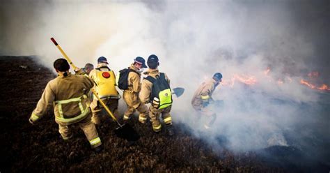 Nifrs Advises The Public To Prevent Fires In The Countryside Photo 1 Of 1 Alpha Newspaper Group