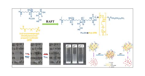 Dual Thermo And Ph Responsive Behavior Of Double Zwitterionic Graft