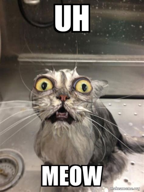 Uh Meow Meme