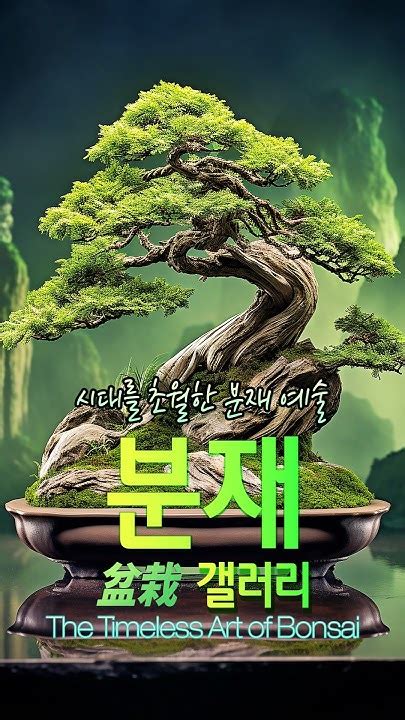 분재 나무를 재배하기 위한 가장 중요한 도구 중 하나는 바로 인내심입니다 Youtube