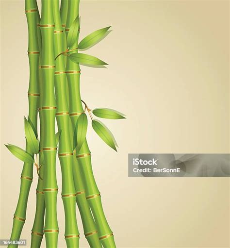 배경 버처 대나무 0명에 대한 스톡 벡터 아트 및 기타 이미지 0명 꽃 식물 꽃무늬 Istock