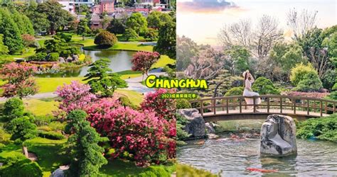 【彰化】約會勝地！台版兼六園「2023成美紫薇花季」來了，超美愛情樹浪漫盛開，有最萌身高差、鮪魚肚男友，直接享半價入園！ 好想去喔