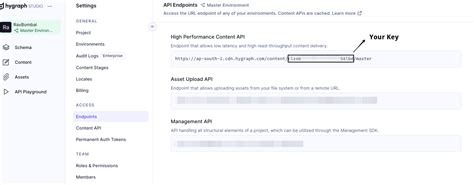 React Series 12 How To Consume Data From Hygraph And Use It In The Nextjs Project Rax