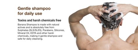Buy Junglelogy Premium Goat Milk Shampoo 300 Ml Online In India Pixies