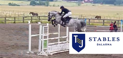 Stall Vs Fina Stallet ️ Nu Har Det Blivit Mörkare Och Vi Har Satt Igång Utebelysningen Igen 😍