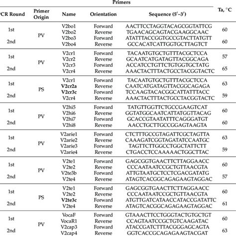 List Of Oligonucleotides Used For Nested Pcr Reaction Download