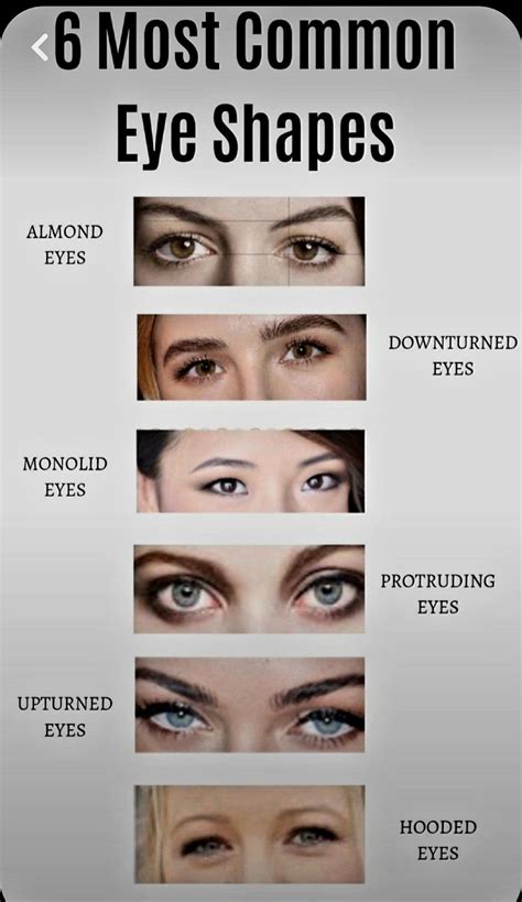 What s your eye shape best makeup for your eye shape – Artofit