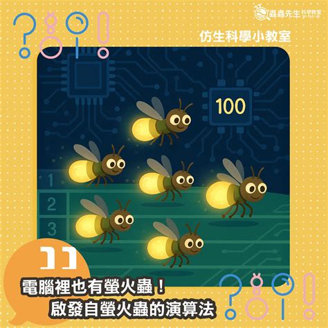 蟲蟲先生的科學教室 電腦裡也有螢火蟲！啟發自螢火蟲的演算法 戶外螢火蟲 現正熱映中 文末有報名連結 夜幕低垂，低海拔夏夜的自然環境裡