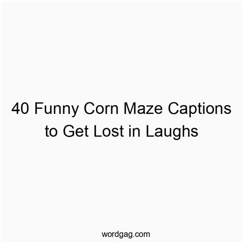 40 Funny Corn Maze Captions To Get Lost In Laughs Wordgag