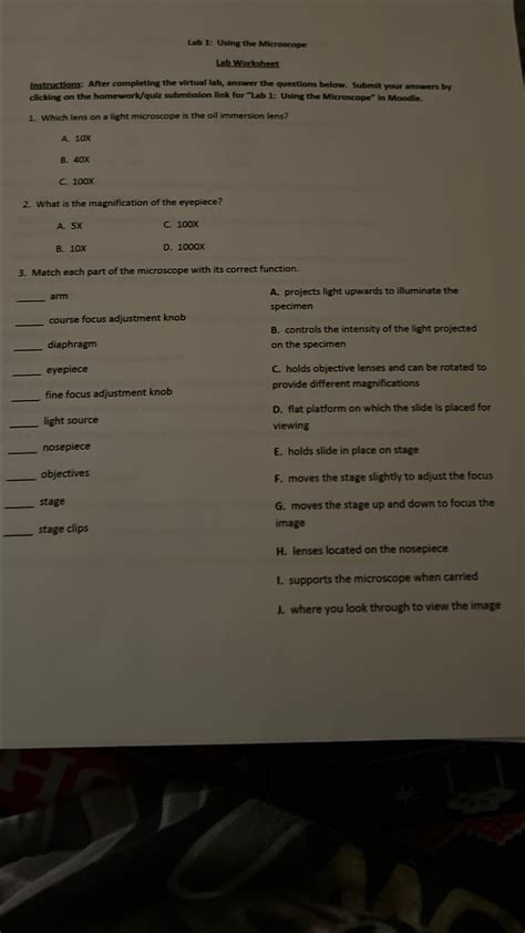 Solved Lab Using The MicroscopeLab WorksheetInstructions Chegg