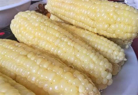 走進忻城品嘗不一樣的糯玉米 每日頭條